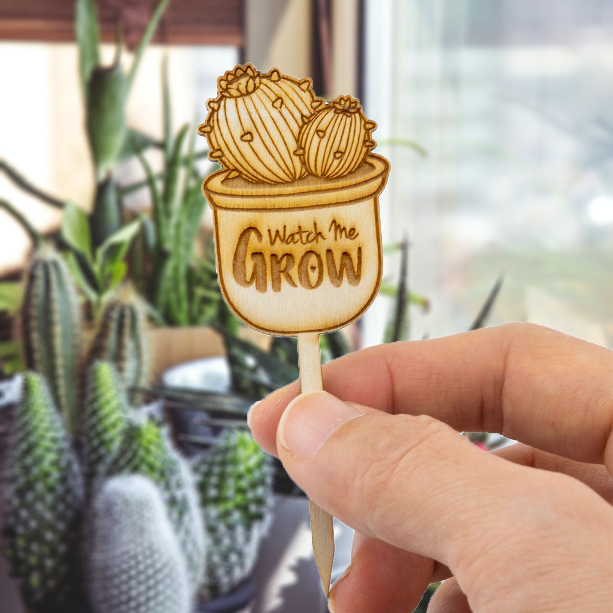 Mini Wooden Watch Me Grow Signs for Baby Shower Cactus/Succulent Favor ...
